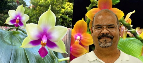 St. Augustine Orchid Society - North Florida Orchid Growing