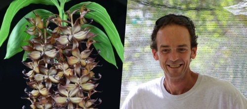 St. Augustine Orchid Society - North Florida Orchid Growing